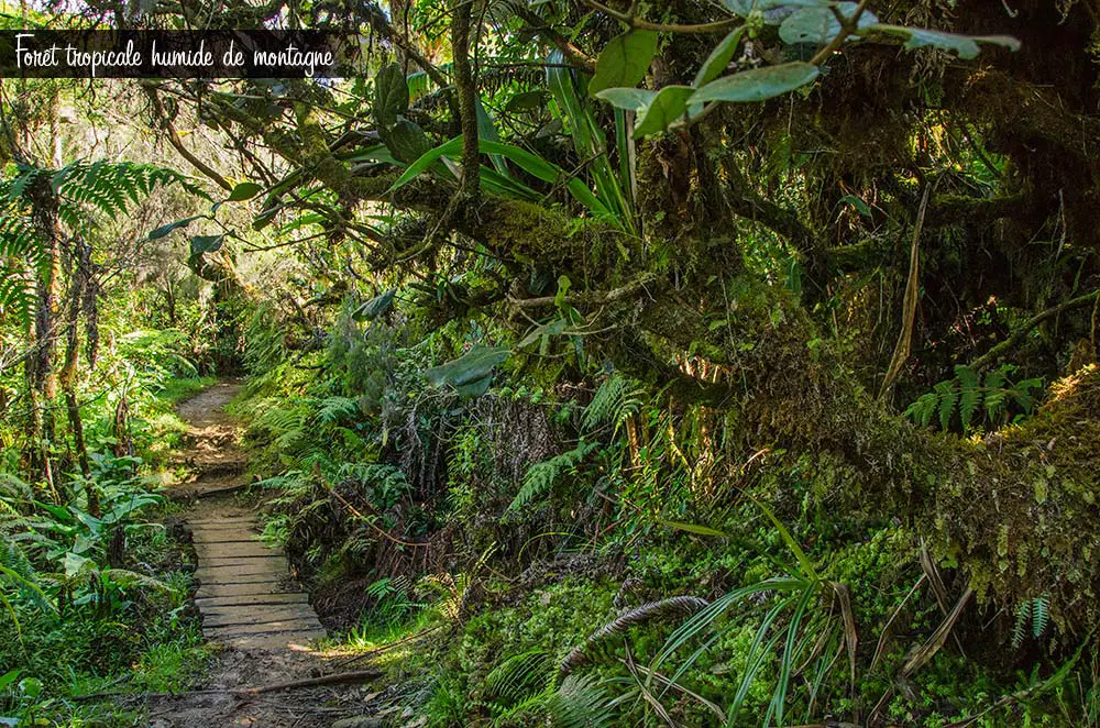 Photos Réunion : Paysages de la Réunion